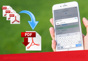 5 Cách cắt file PDF đơn giản, nhanh chóng [Miễn phí 100%]