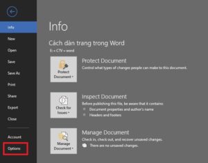 3 cách dàn trang trong Word đơn giản và nhanh chóng