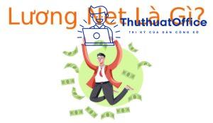 Lương Net là gì? Cách tính và áp dụng Lương Net như thế nào